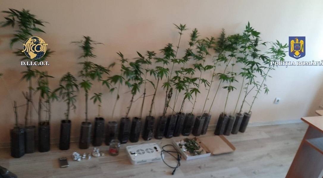 Șapte vasluieni arestați pentru trafic de droguri de risc | Monitorul ...