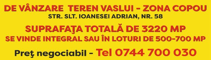 Legendara formație IRIS, pe scena Festivalului „Vasluiul Medieval ...